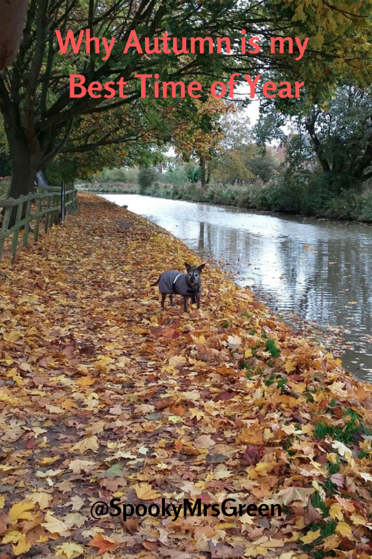 Chronic Voice Link-Up: Why Autumn is my Best Time of Year | SpookyMrsGreen